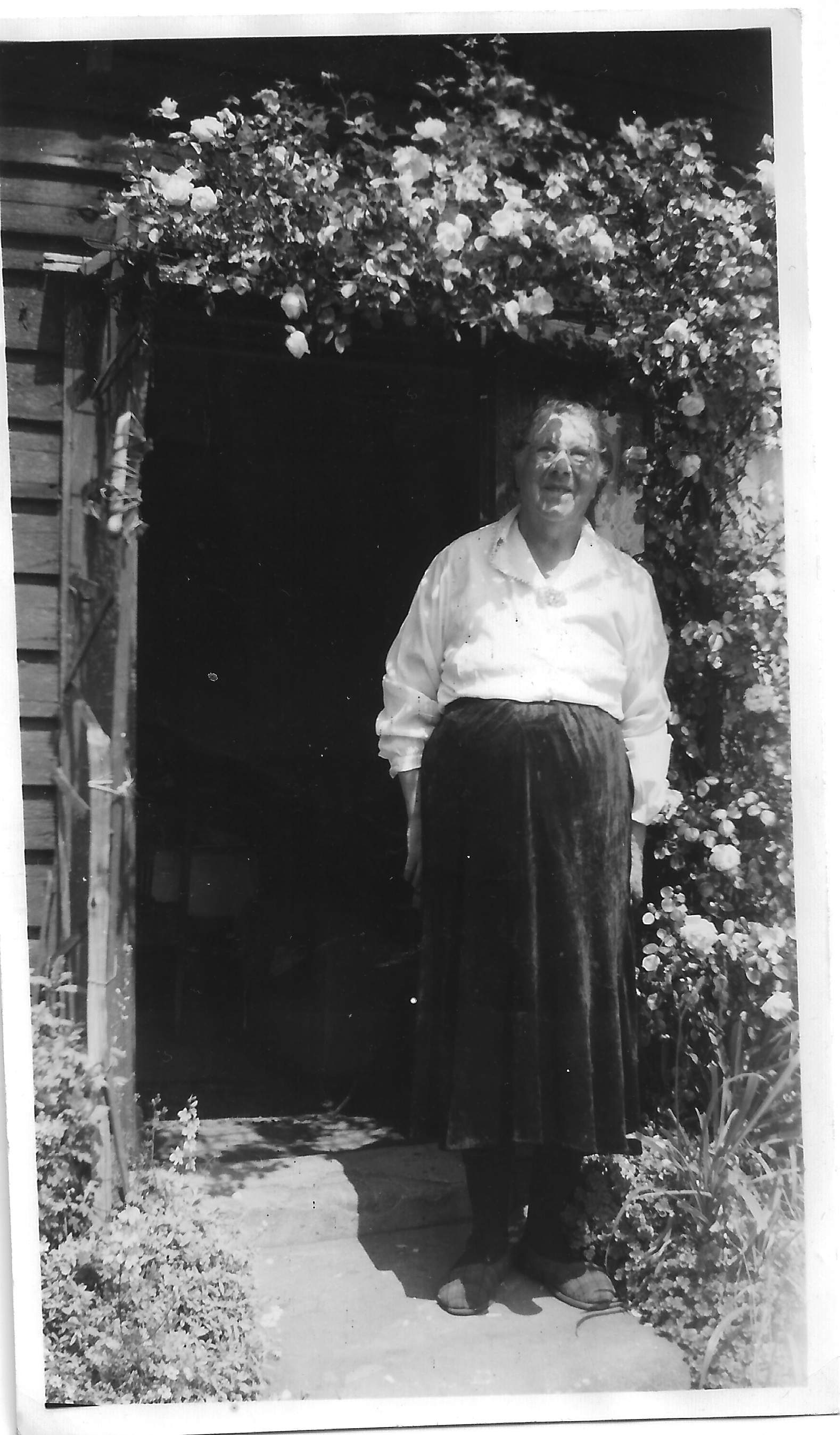 George Pillcher Hill: The Disappearing Husband – Family Mystery