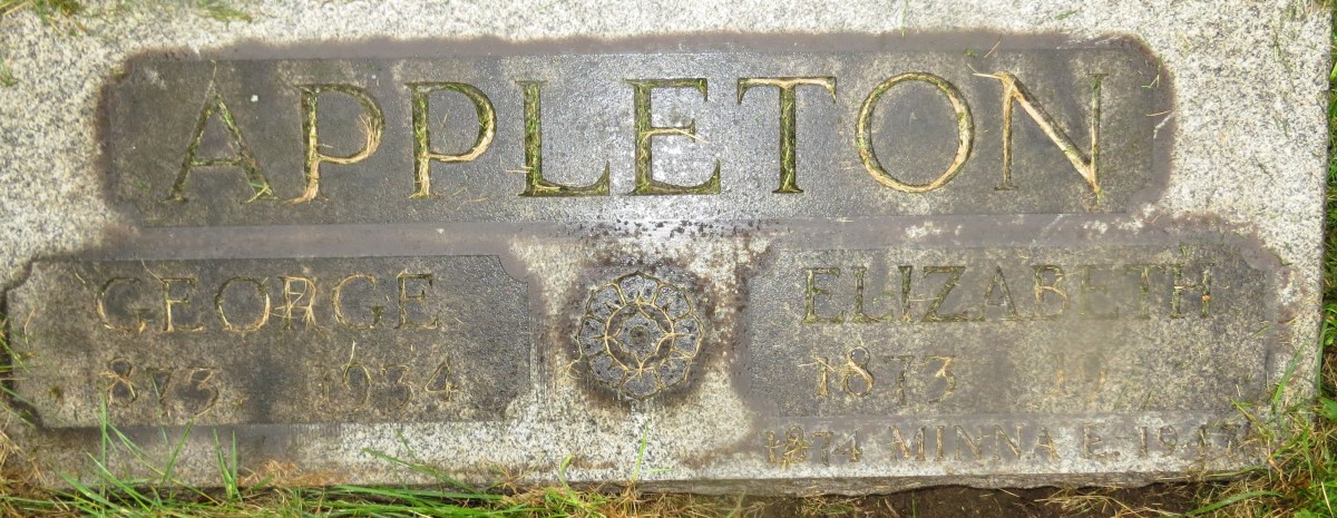 George Appleton: A Bad Apple – Family Mystery